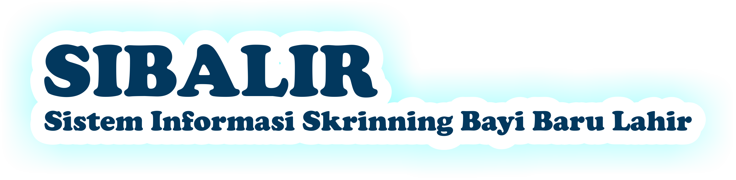 e-SHK RSMH Palembang